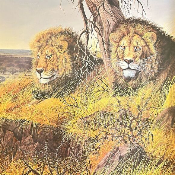 Art | Gary R Swanson Limited Edition Print Upwind Lions African Savanna ...